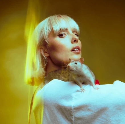 What’s SOFY’s Secret? Exploring the Temptation in Her Latest Hit ...