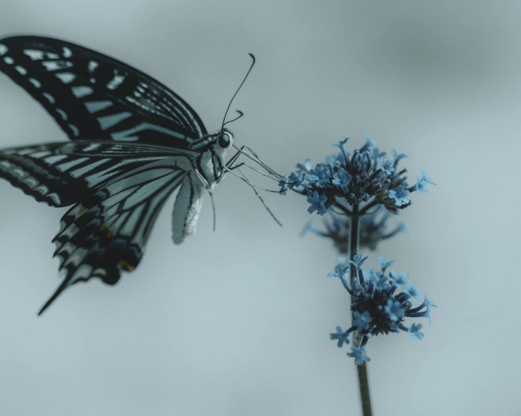 ‘Pretty Things’ Blends Light with Darkness, Beauty with the Terrifying ...